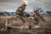 Whitetail Deer Gallery - Big Horn Outfitters