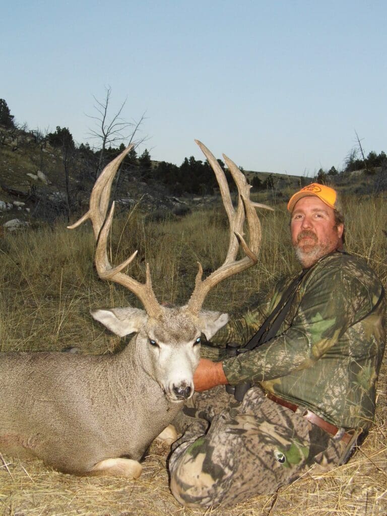 Mule Deer Gallery - Big Horn Outfitters