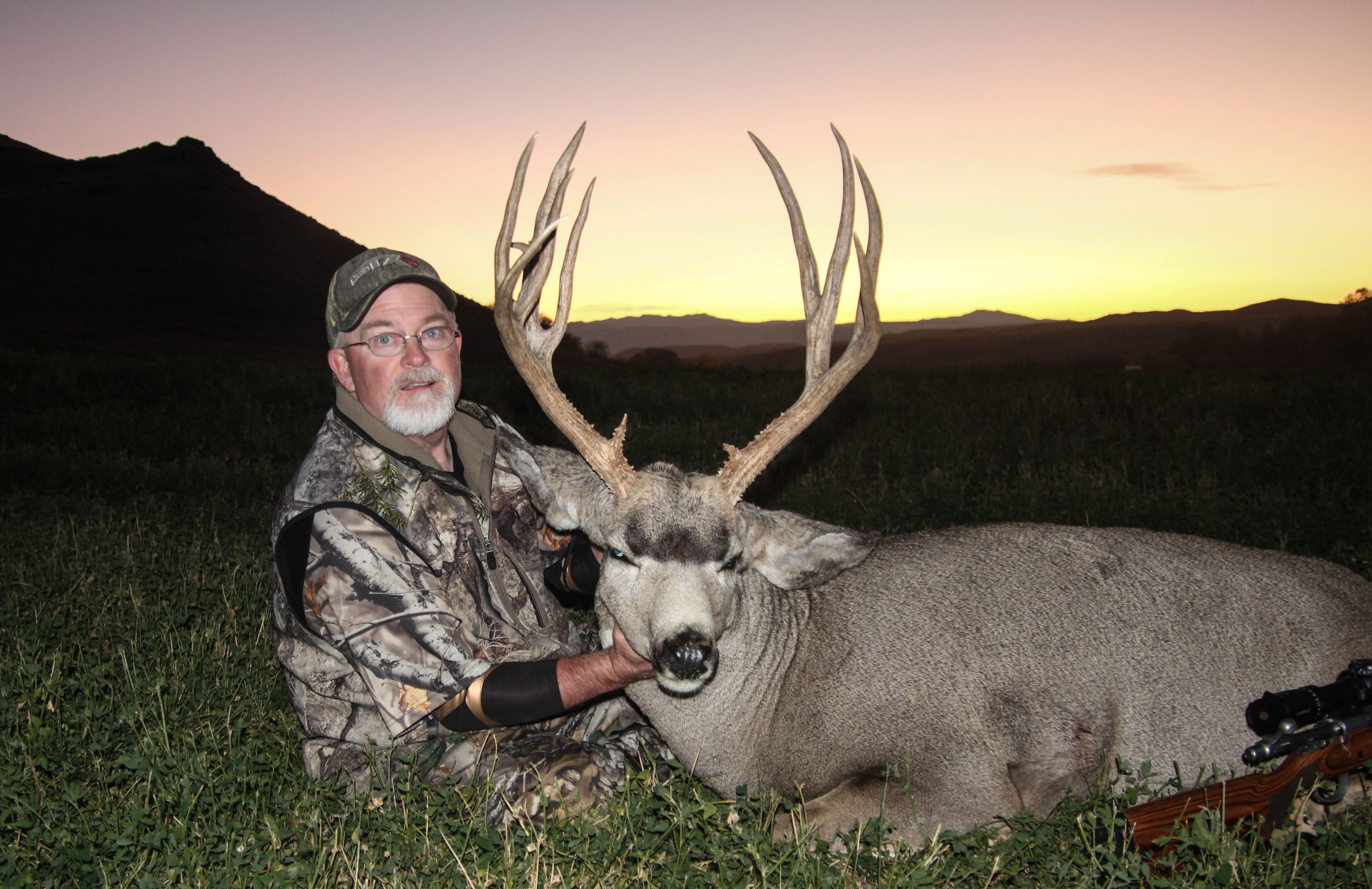 Mule Deer Gallery - Big Horn Outfitters