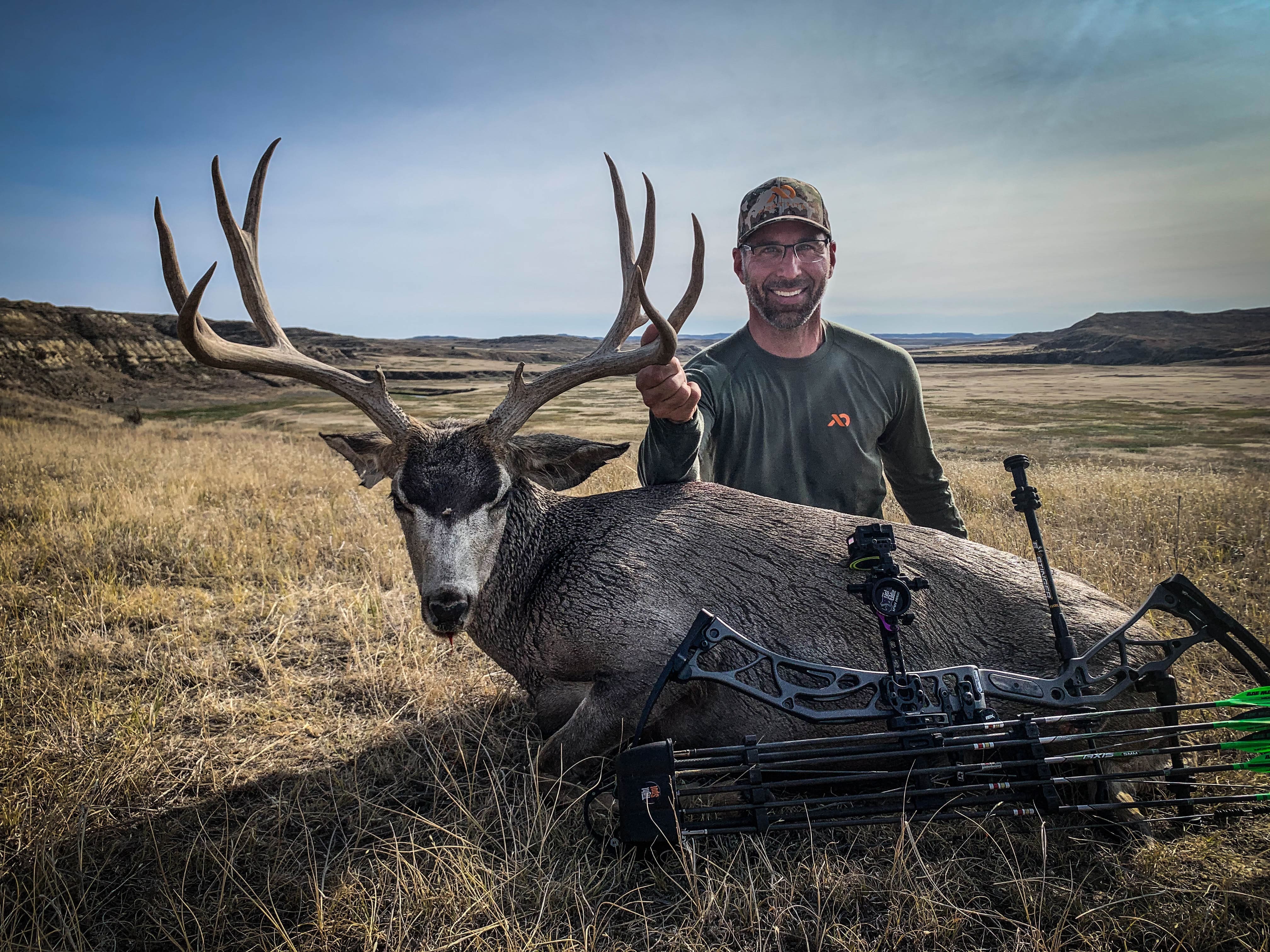 Mule Deer Gallery - Big Horn Outfitters