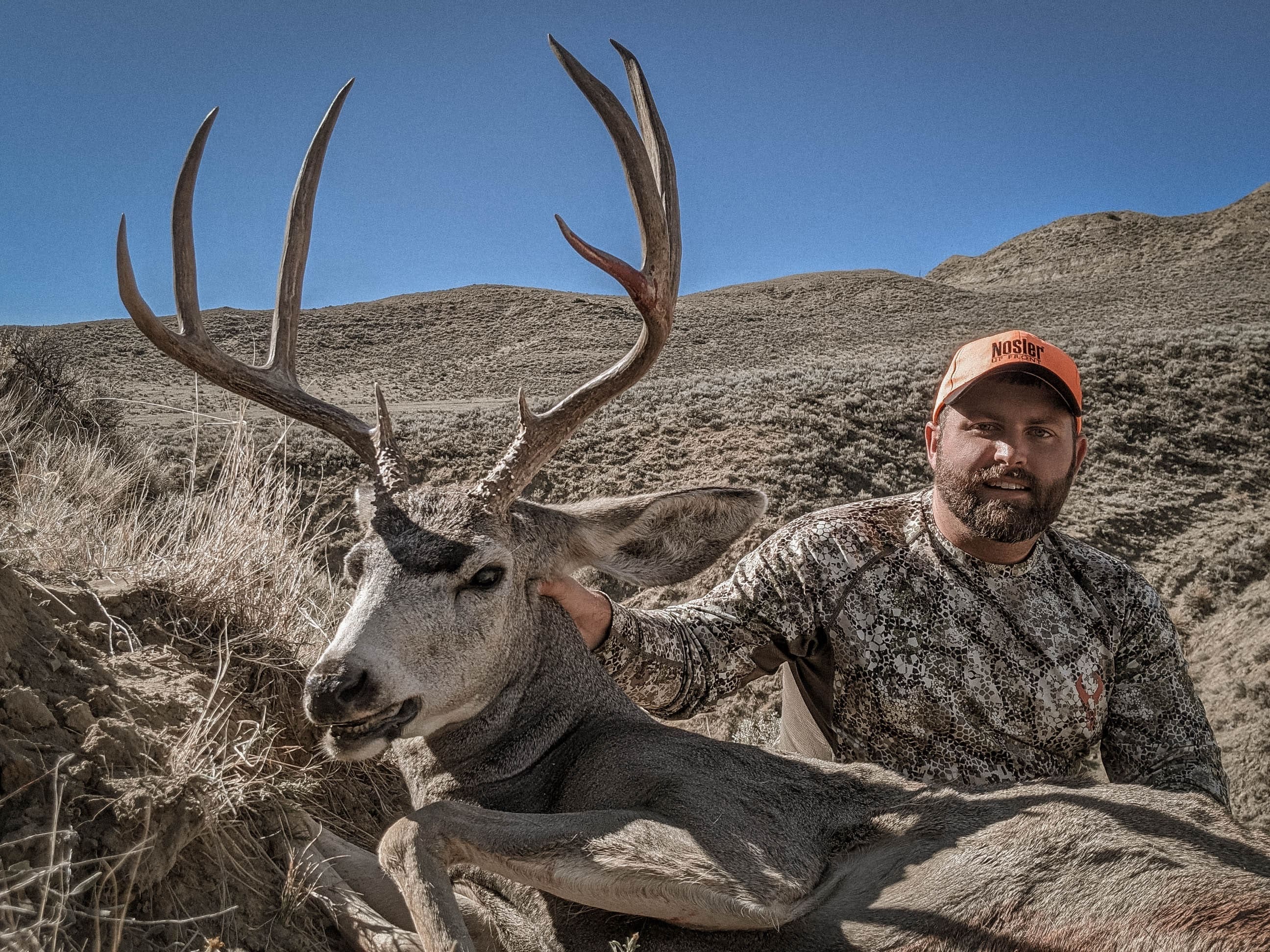 Mule Deer Gallery - Big Horn Outfitters